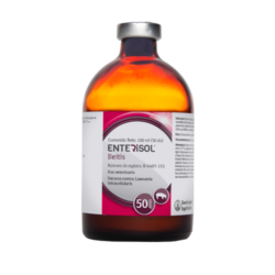 Enterisol Ileitis | grupo ISA